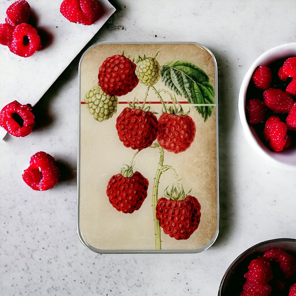 Raspberry notions tin, Stitch marker tin - Firefly Notes